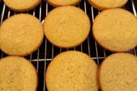 Sweet Cornmeal Corn Toasties Recipe - Food.com