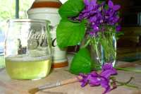 Homemade Crystallised Flowers - Violets Recipe - Food.com