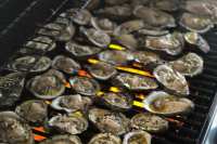 how to make dragos oysters