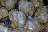 Zimbabwe Cookies Recipe - Food.com