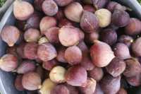 Homemade Fig Preserves Recipe - Food.com