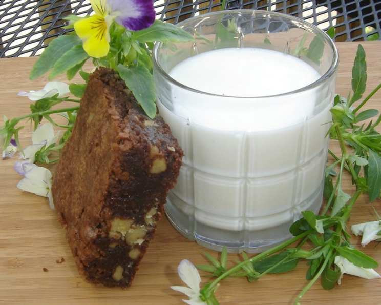 Chewy Brownies Recipe - Food Blog Alliance