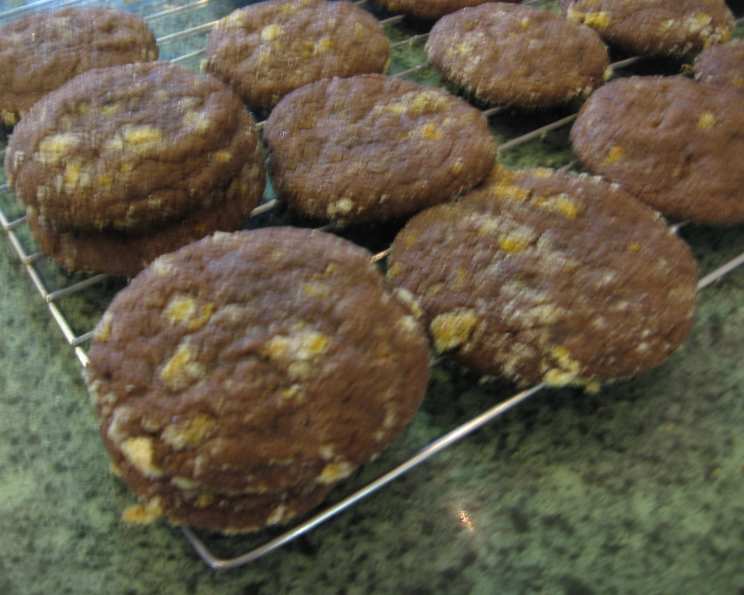 Chocolate-Orange-Chocolate Chip Cookies Recipe - That's Nerdalicious