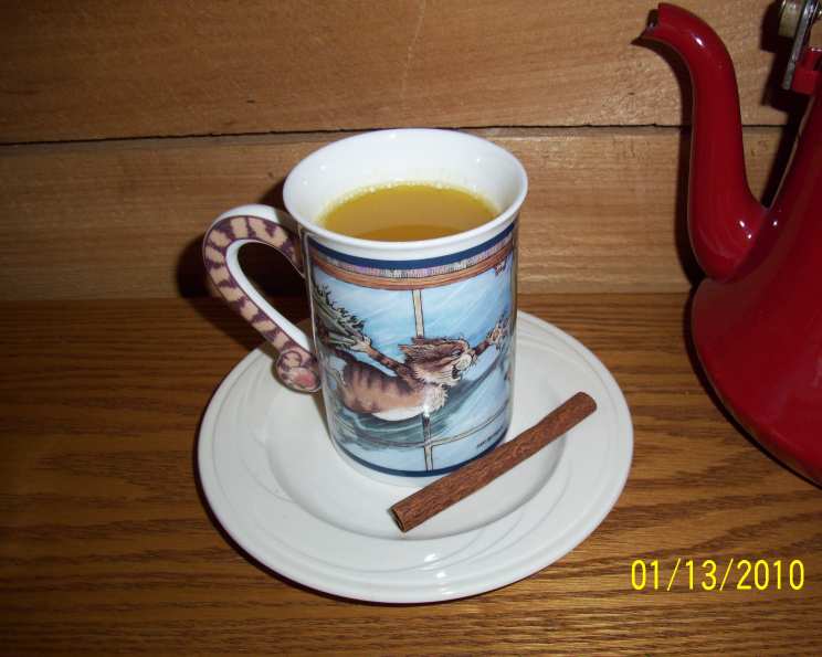 Orange Cider Recipe - Chef's Resource Recipes