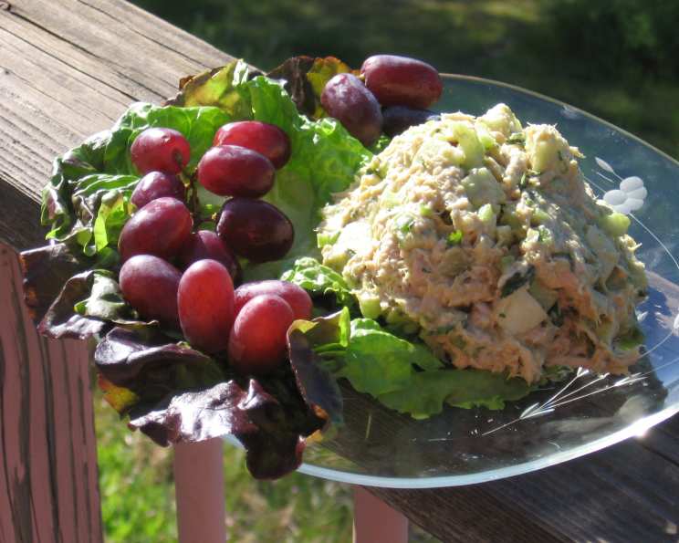 Thai Tuna Salad Recipe - Chef's Resource Recipes