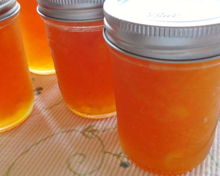 Greek Nectarine Preserves Recipe - Easy GF Recipes