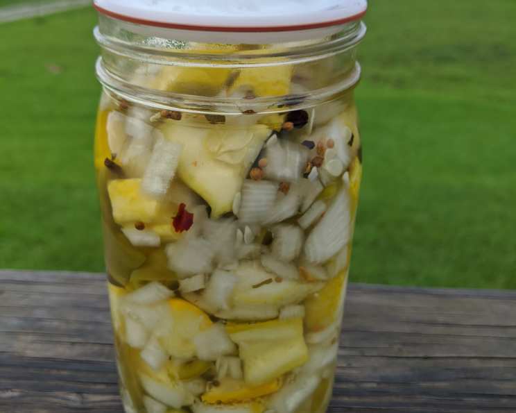 Squash Pickles Recipe - Chef's Resource Recipes