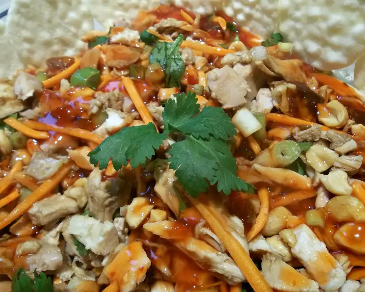 Layered Ginger Chicken Dip Recipe - That's Nerdalicious
