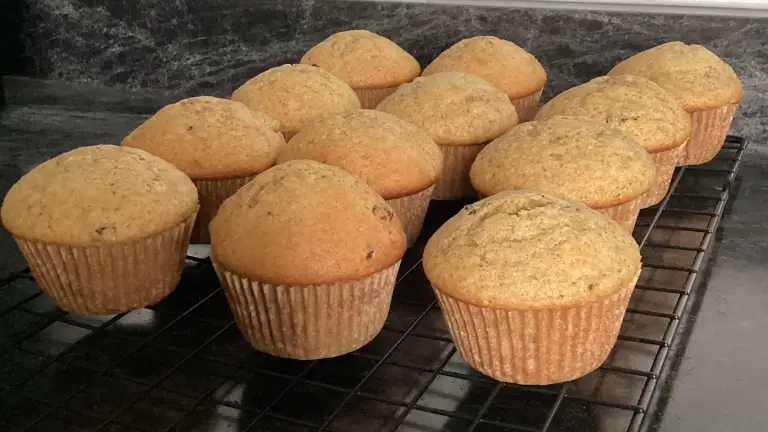 Sugar and Cinnamon Spice Muffins Recipe - Food.com