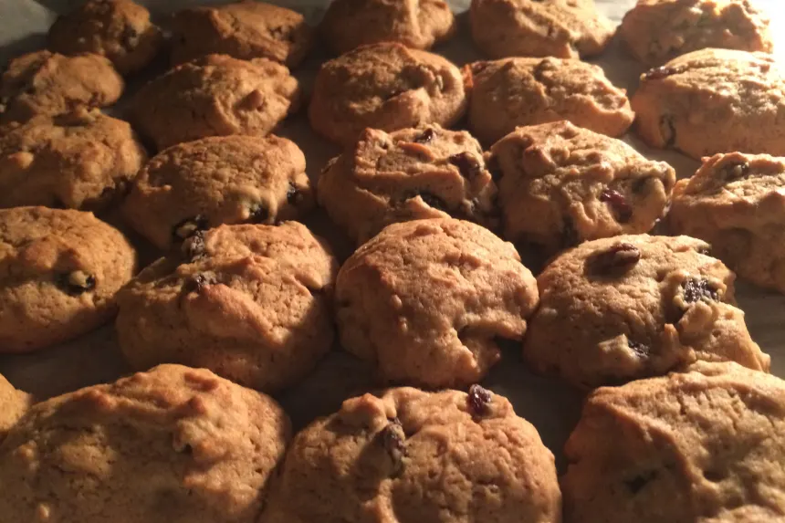 Grandma's Boiled Raisin Cookies Recipe - Food.com