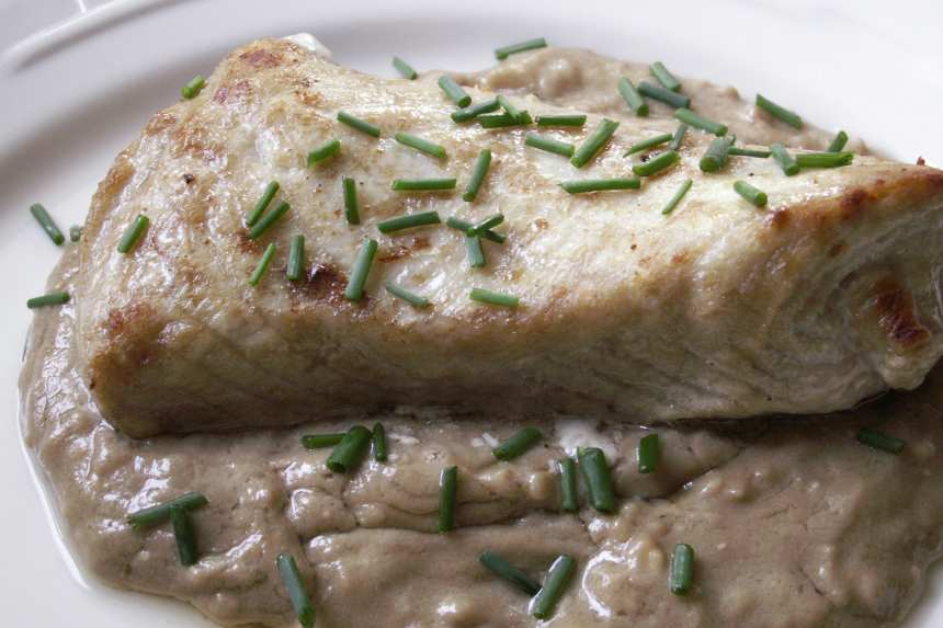 grilled shark temperature