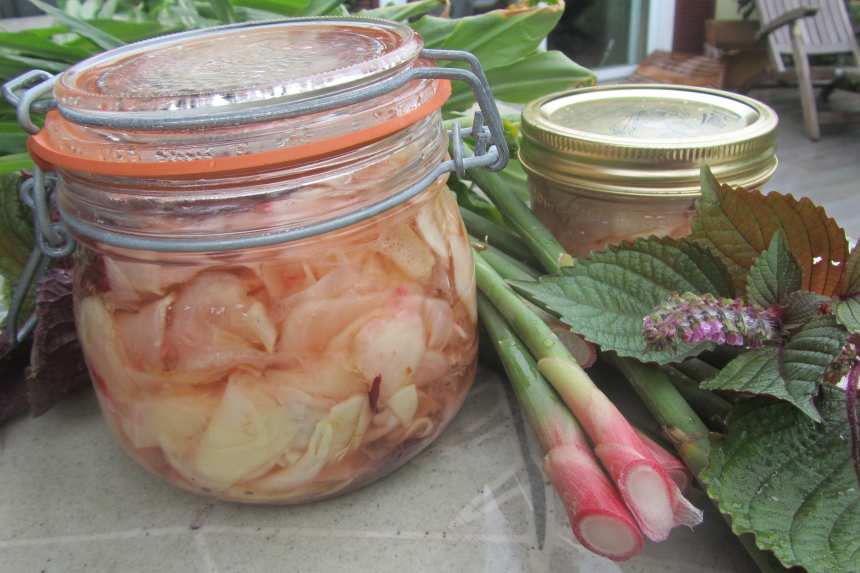 Pickled Ginger Recipe - Food.com