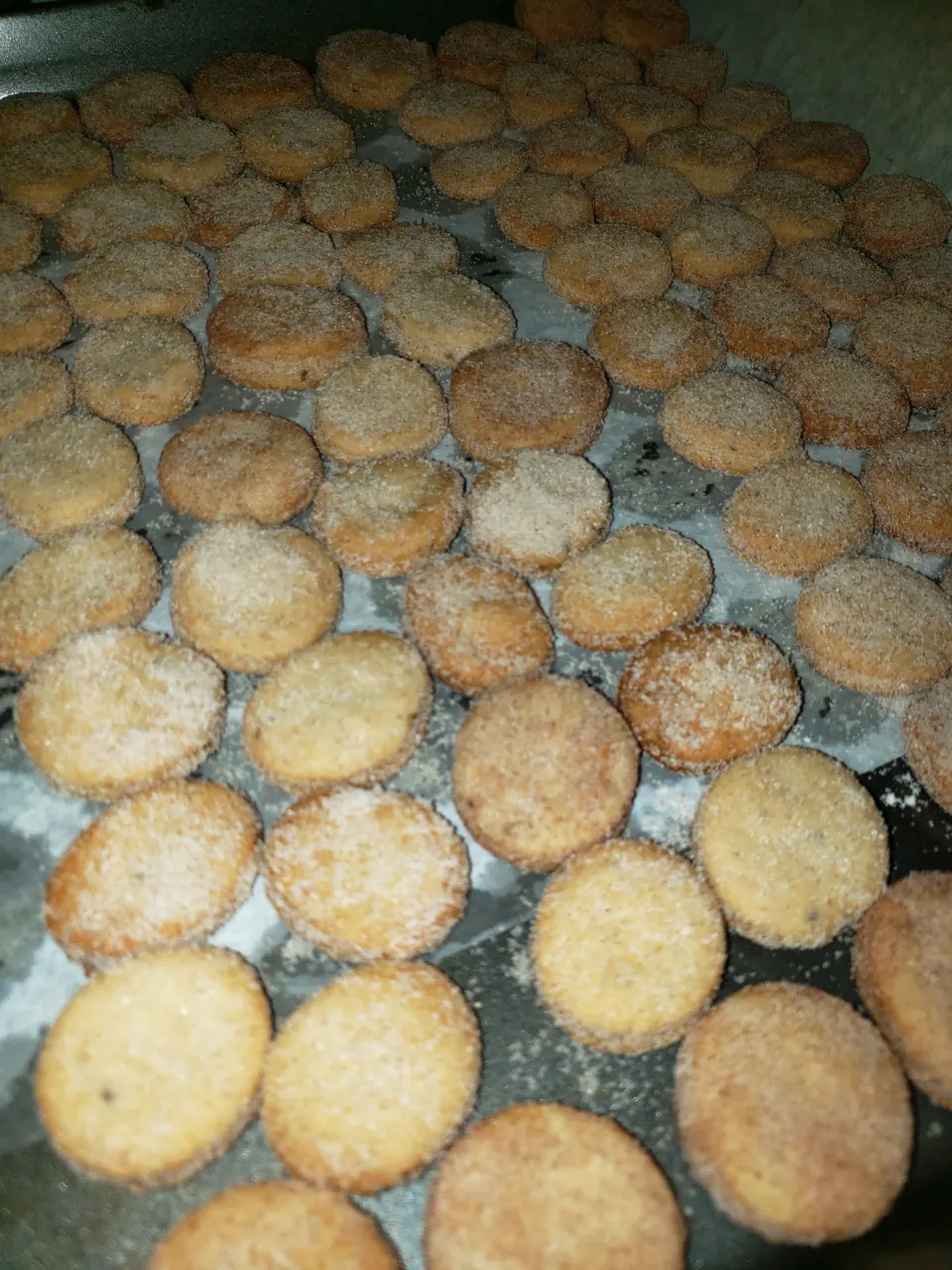 Bizcochos (Mexican Holiday Cookies) Recipe - Food.com