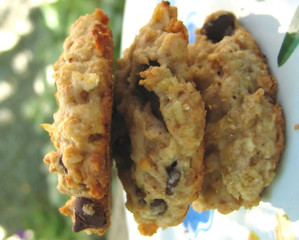 Chocolate Chip Apple Cookies Recipe - Food.com