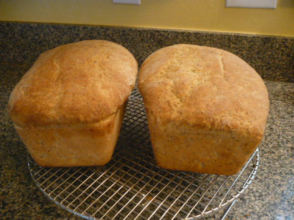 Classic Flax Bread Recipe - Food.com