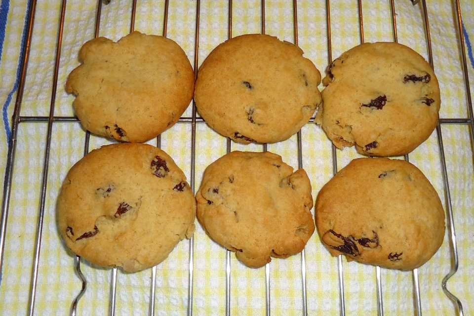 Sultana Biscuits (Cookies) Recipe - Food.com