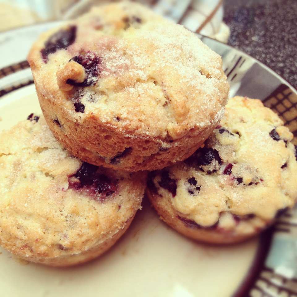 Saskatoon Berry Muffins Recipe - Food.com