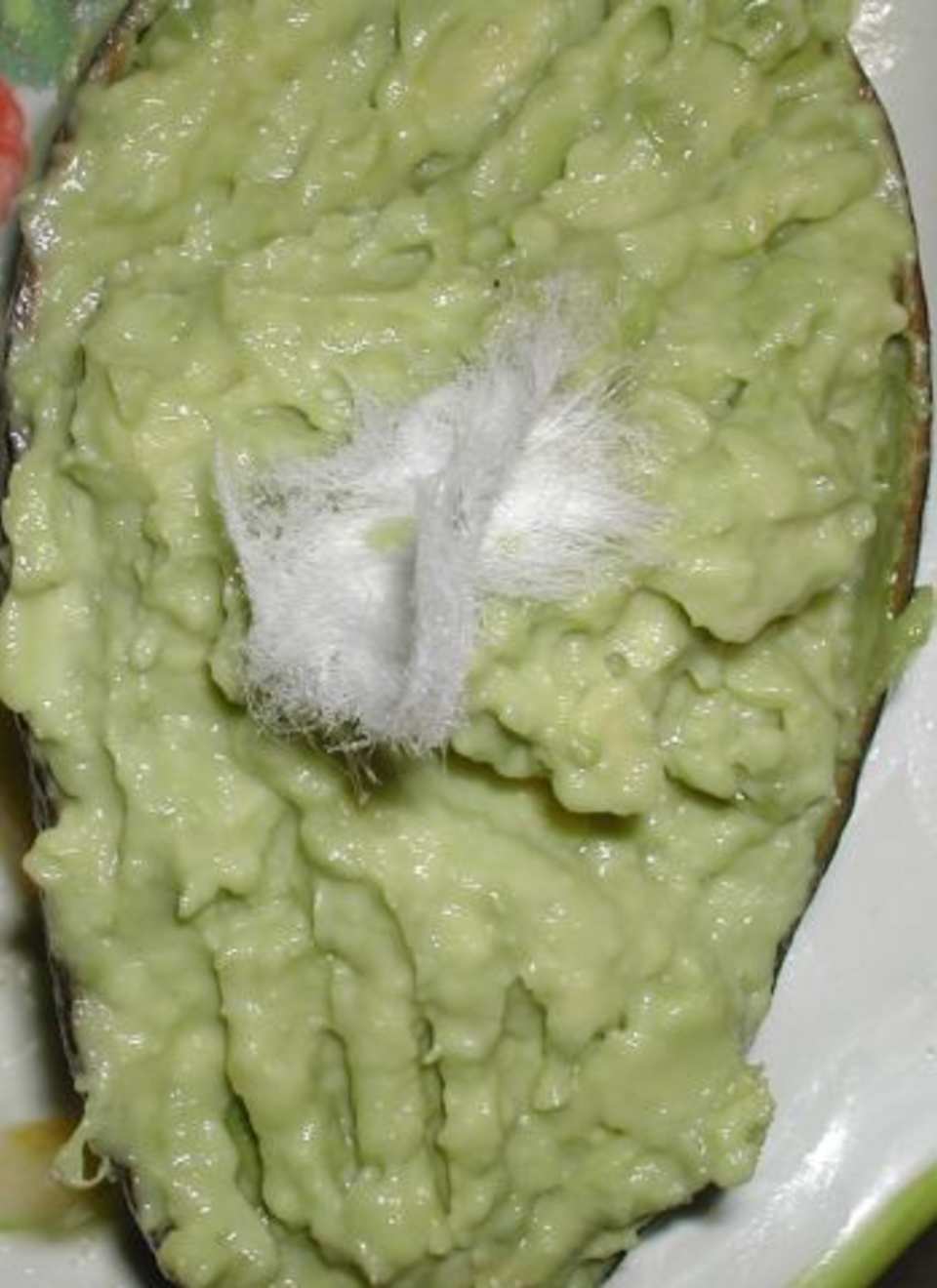 Avocado Dessert - Sri Lanka Recipe - Food.com