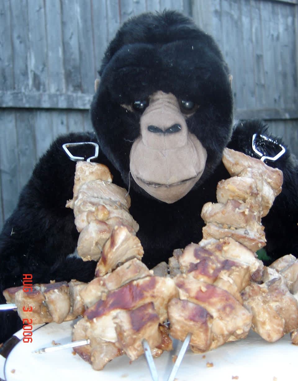 Monkey Meat Kabobs Recipe - Food.com