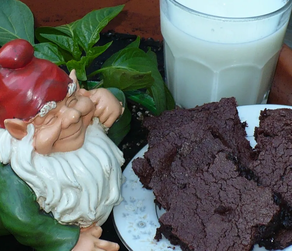 Juneann's Chewy Bisquick Brownies Recipe - Food.com