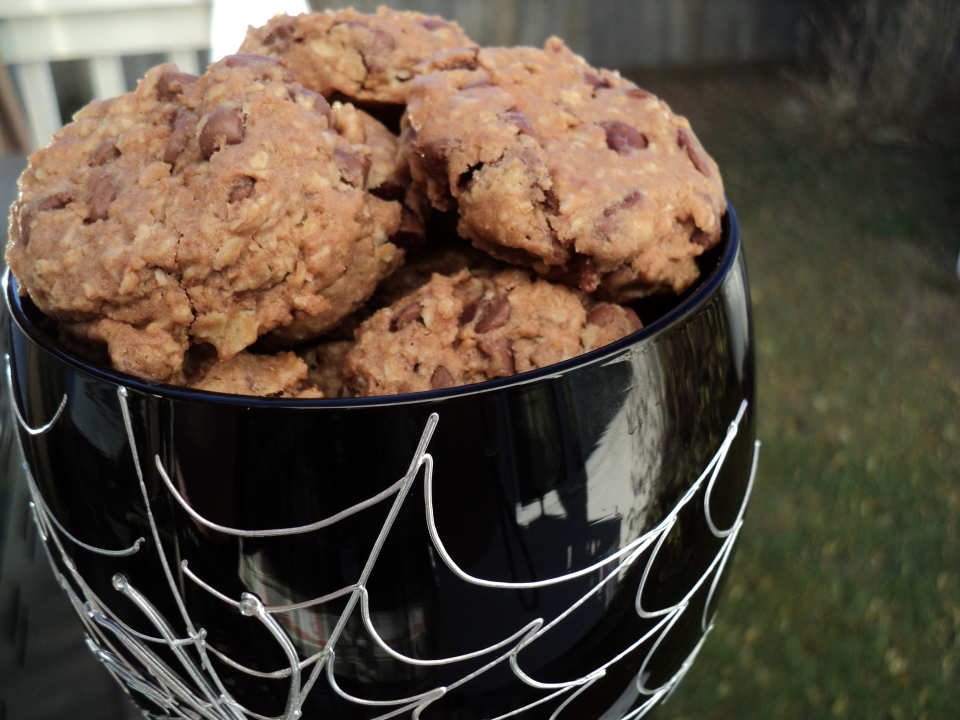 Chocolate Chip Oaties (Cookies) Recipe - Food.com