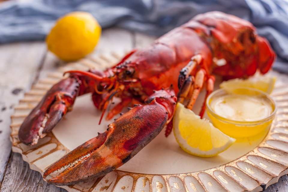 Grilled Lobster Recipe - Food.com
