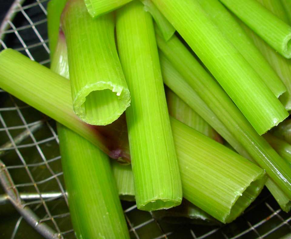 Homemade Candied Angelica - for Cakes, Bakes and Desserts Recipe - Food.com
