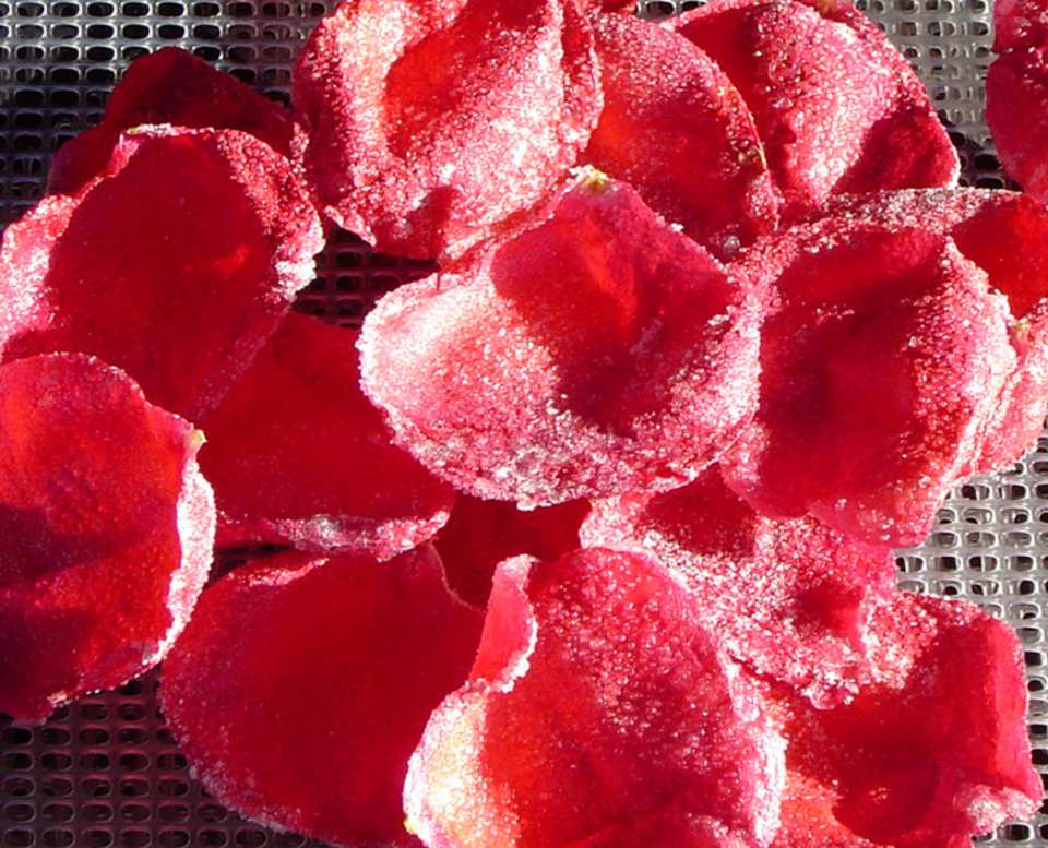 Homemade Crystallised Rose Petals Recipe - Food.com