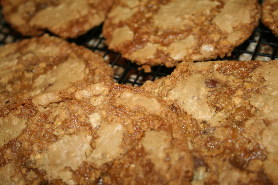 The Only Oatmeal Cookies Recipe You'll Ever Use! Recipe - Food.com