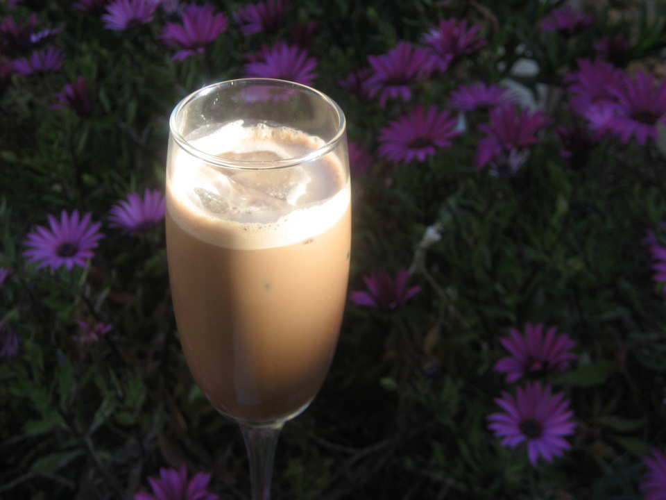 Iced Cocoa Cappuccino Recipe - Food.com