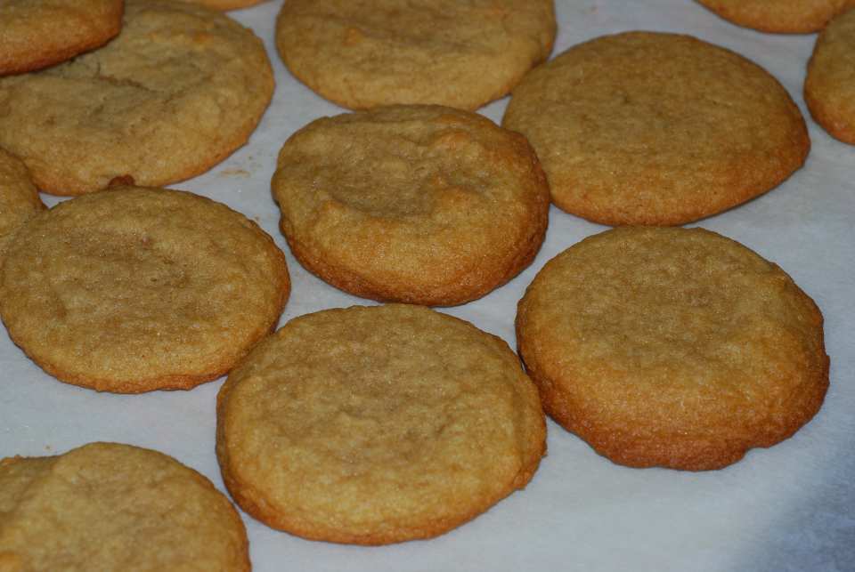 Canadian Maple Cookies Recipe - Food.com