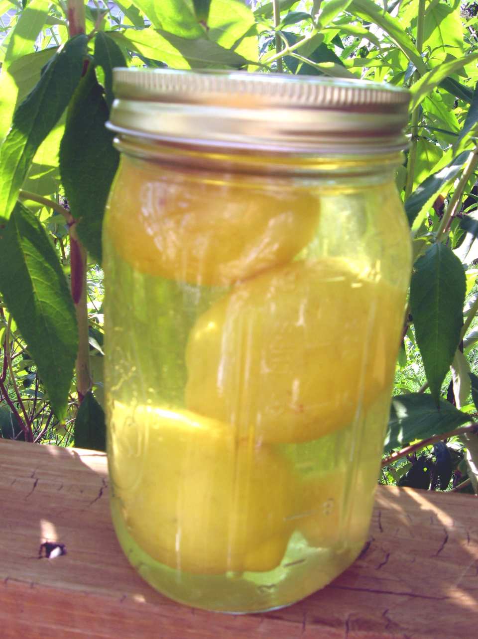 Lemon Ginger Infused Vodka Recipe - Food.com