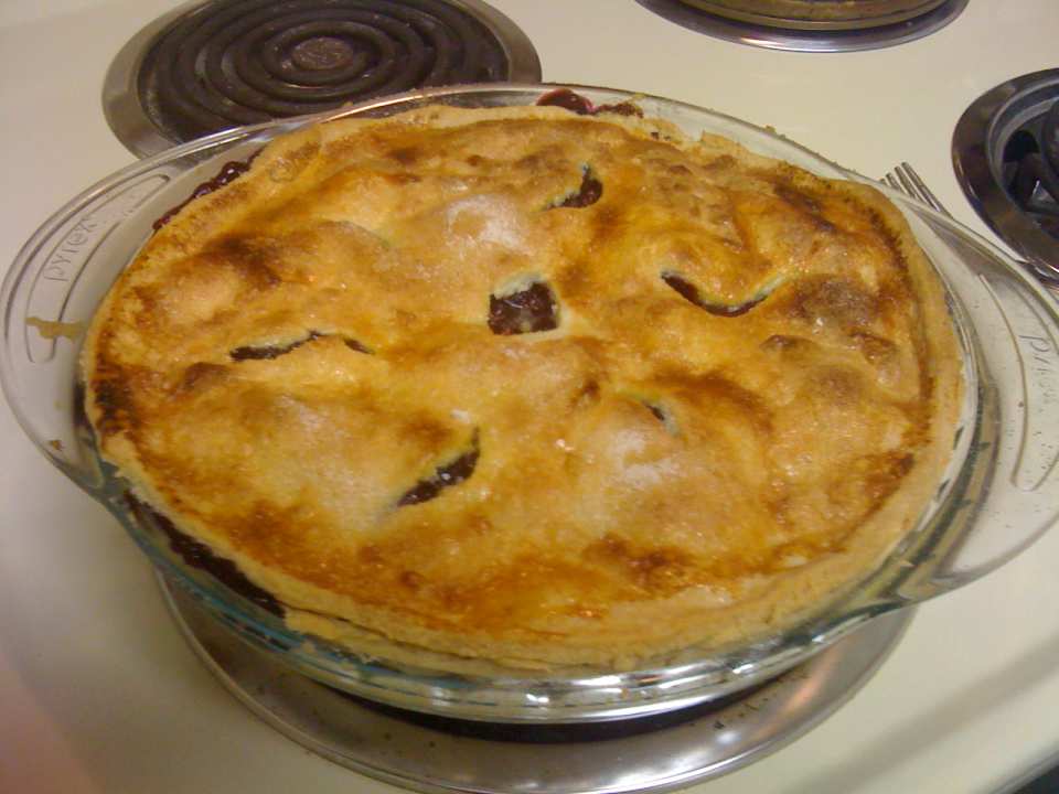 Blue Ribbon Wild Blueberry Pie Recipe - Food.com