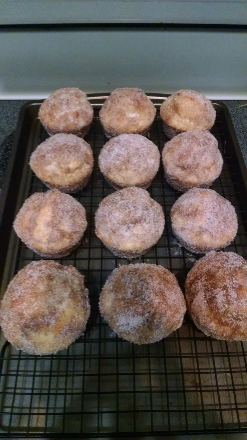 Cinnamon Puffins (Muffins or Donuts?) Recipe - Baking.Food.com