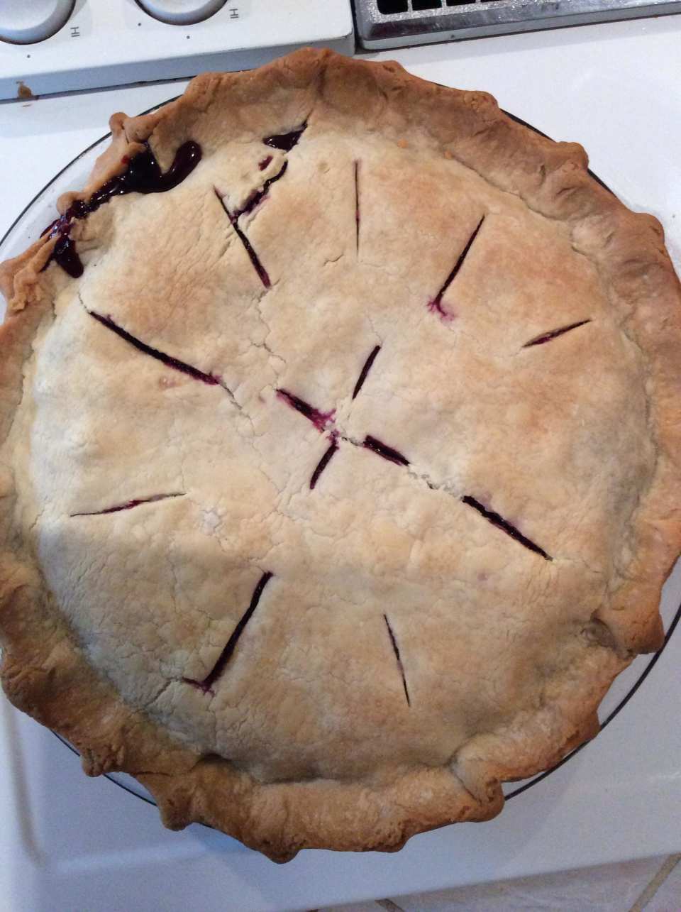 Wild Huckleberry Pie Recipe - Food.com