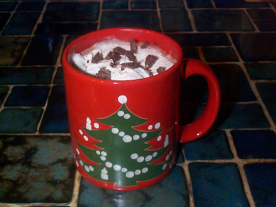 Rich Hot Cocoa for Two With Flavor Variations Recipe - Food.com