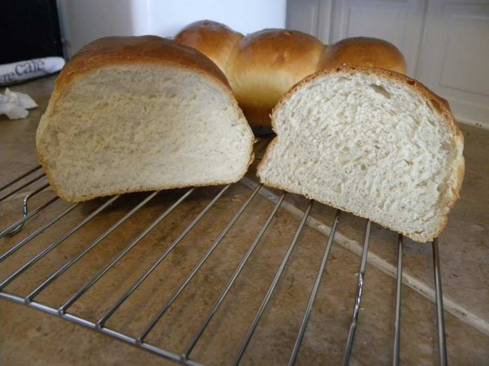 Newfoundland White Bread Recipe - Food.com