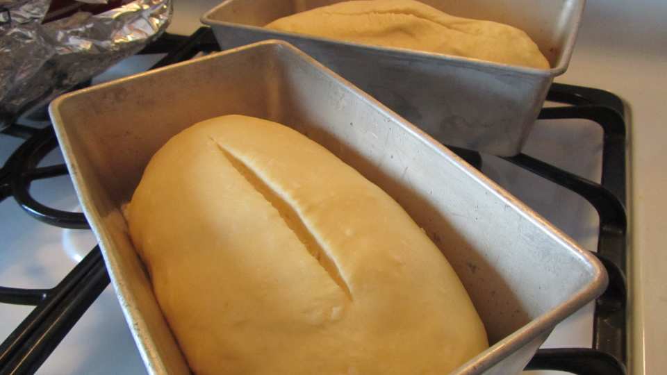 Bimini Bread Abm Recipe - Food.com