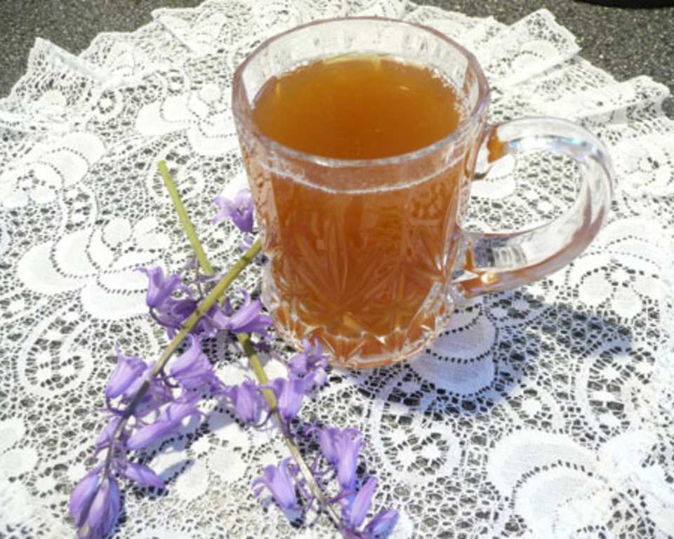 Cinnamon Anise Tea Recipe - Food.com