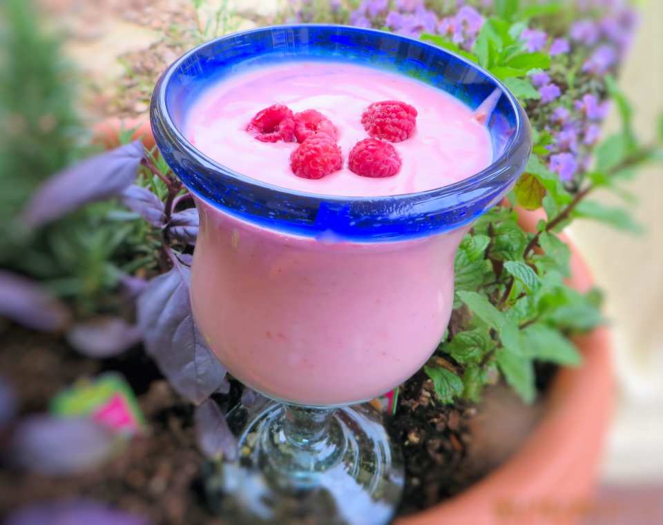 Raspberry Pina Colada Smoothie Recipe - Food.com
