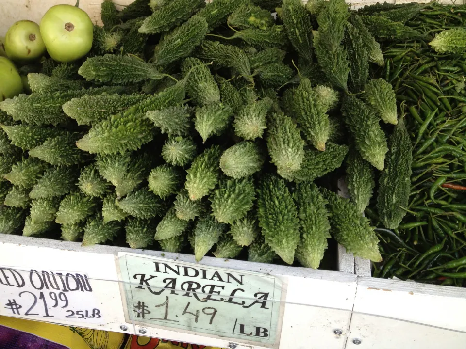 Karela (Bitter melon or gourd) Recipe - Indian.Food.com