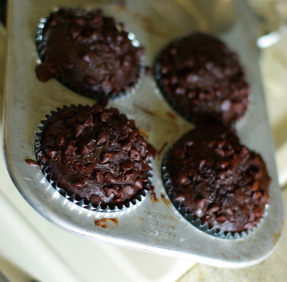 Devil's Food Chocolate Chip Muffins Recipe - Food.com