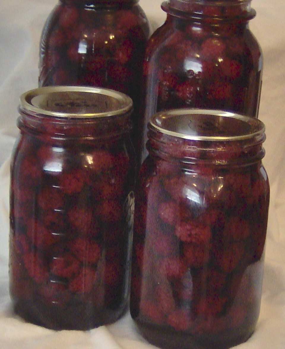 Canned Raspberries Recipe - Dessert.Food.com