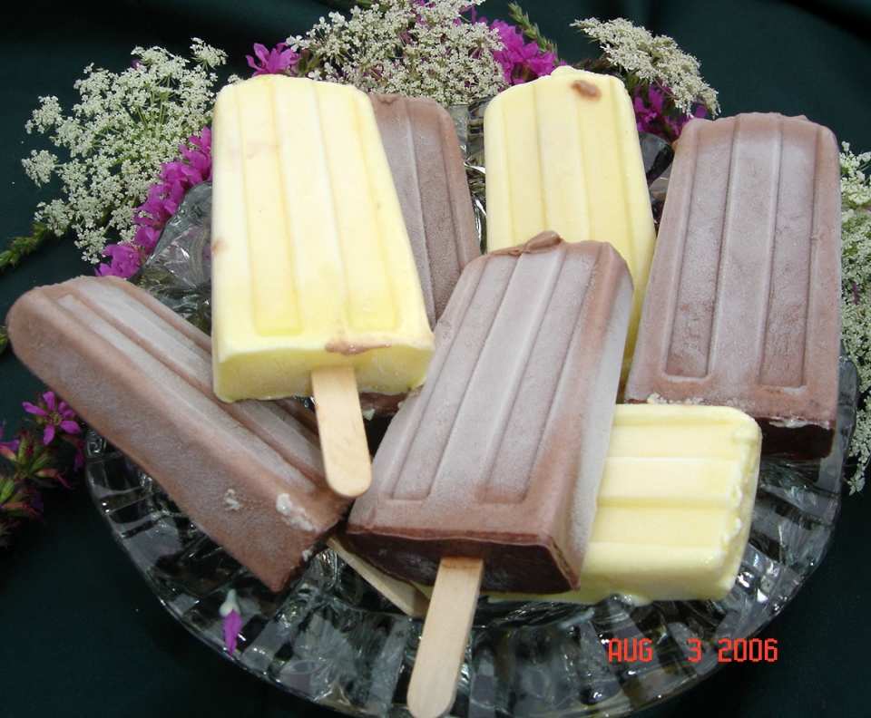 Frozen Fudge Pops Recipe - Food.com