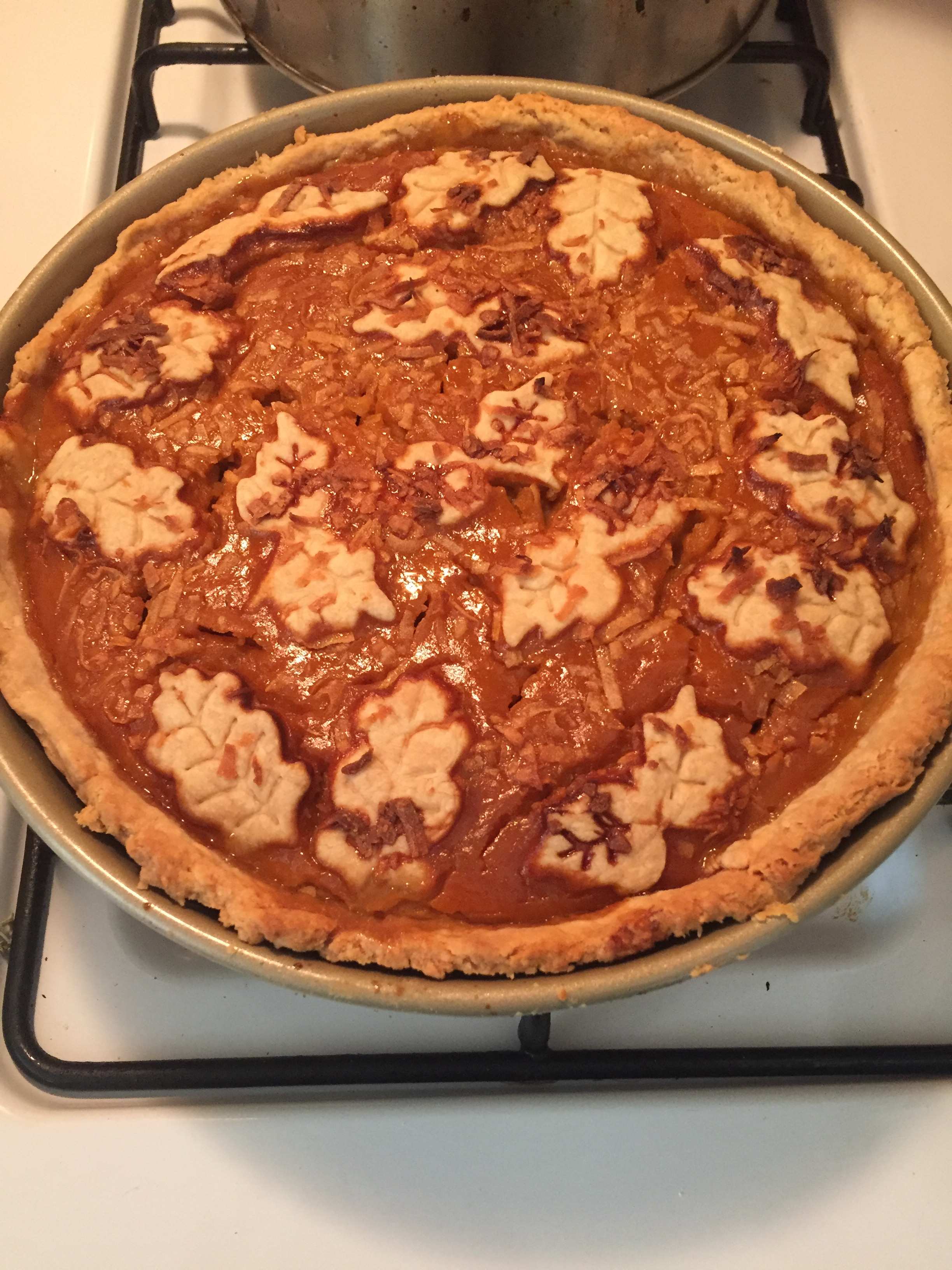 Homemade Pie Crust Recipe - Food.com