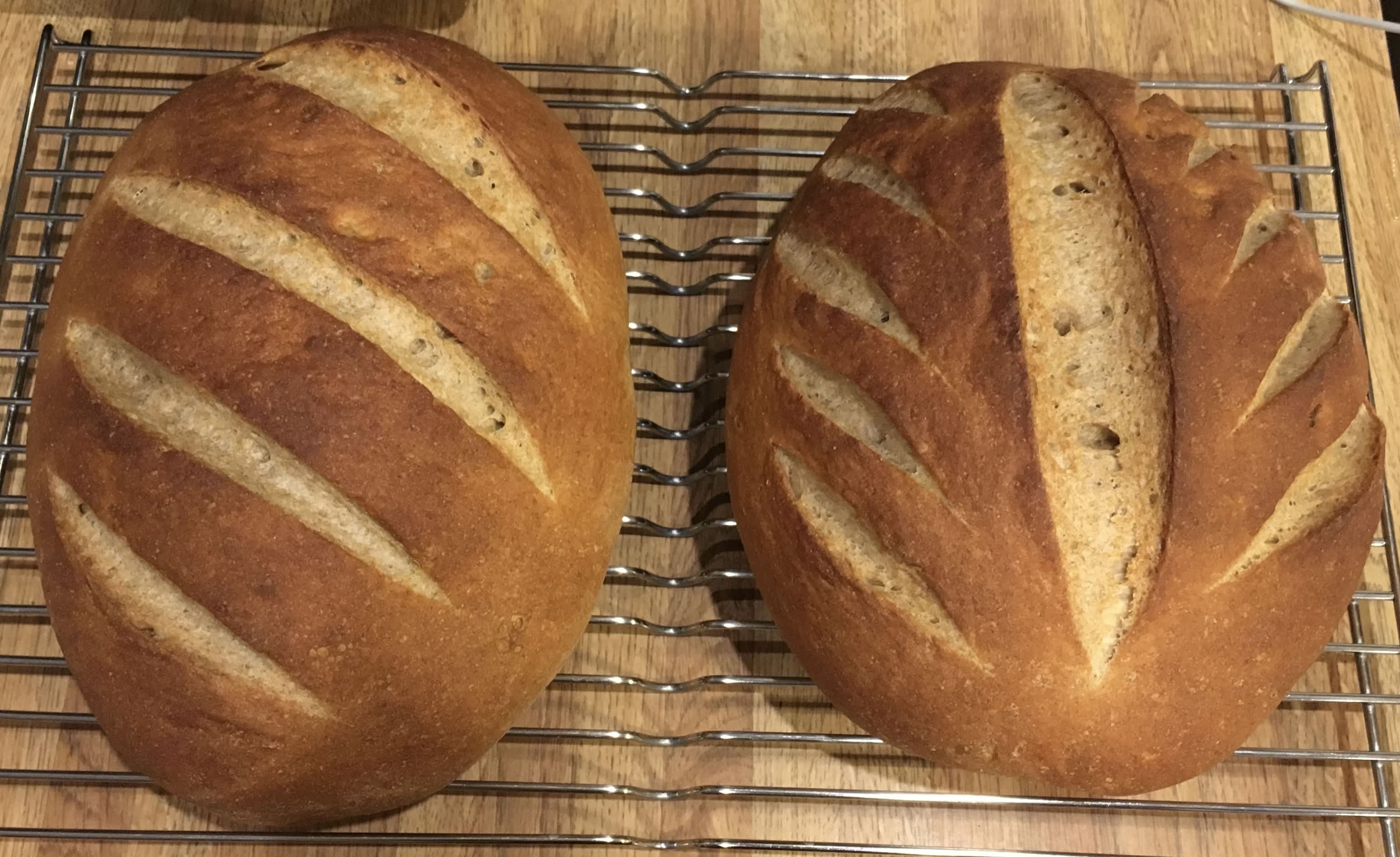 Bauernbrot (German Farmer Bread) Recipe - Food.com