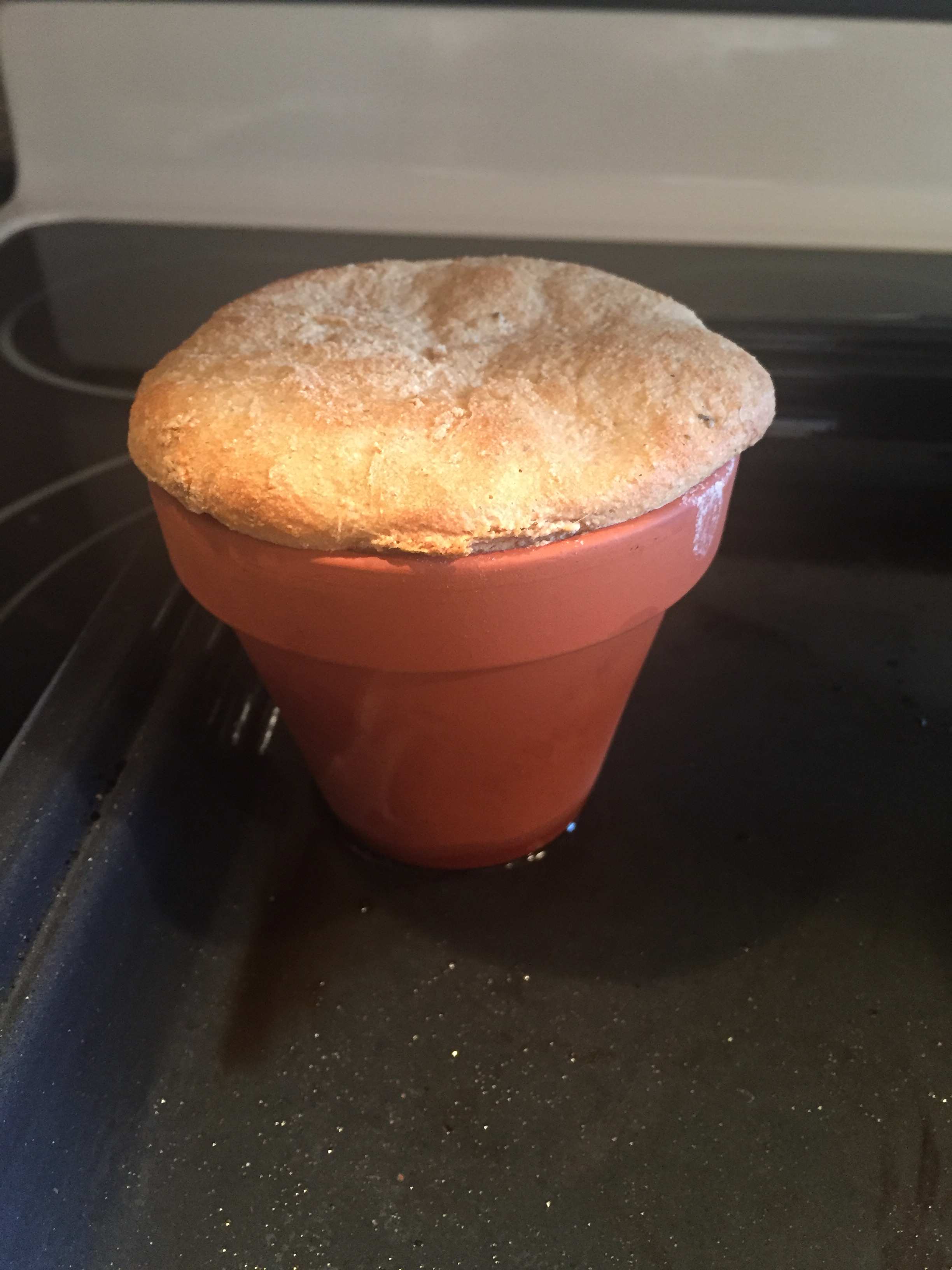 Rustic Flower Pot Bread Loaves or Bread Rolls Recipe - Food.com