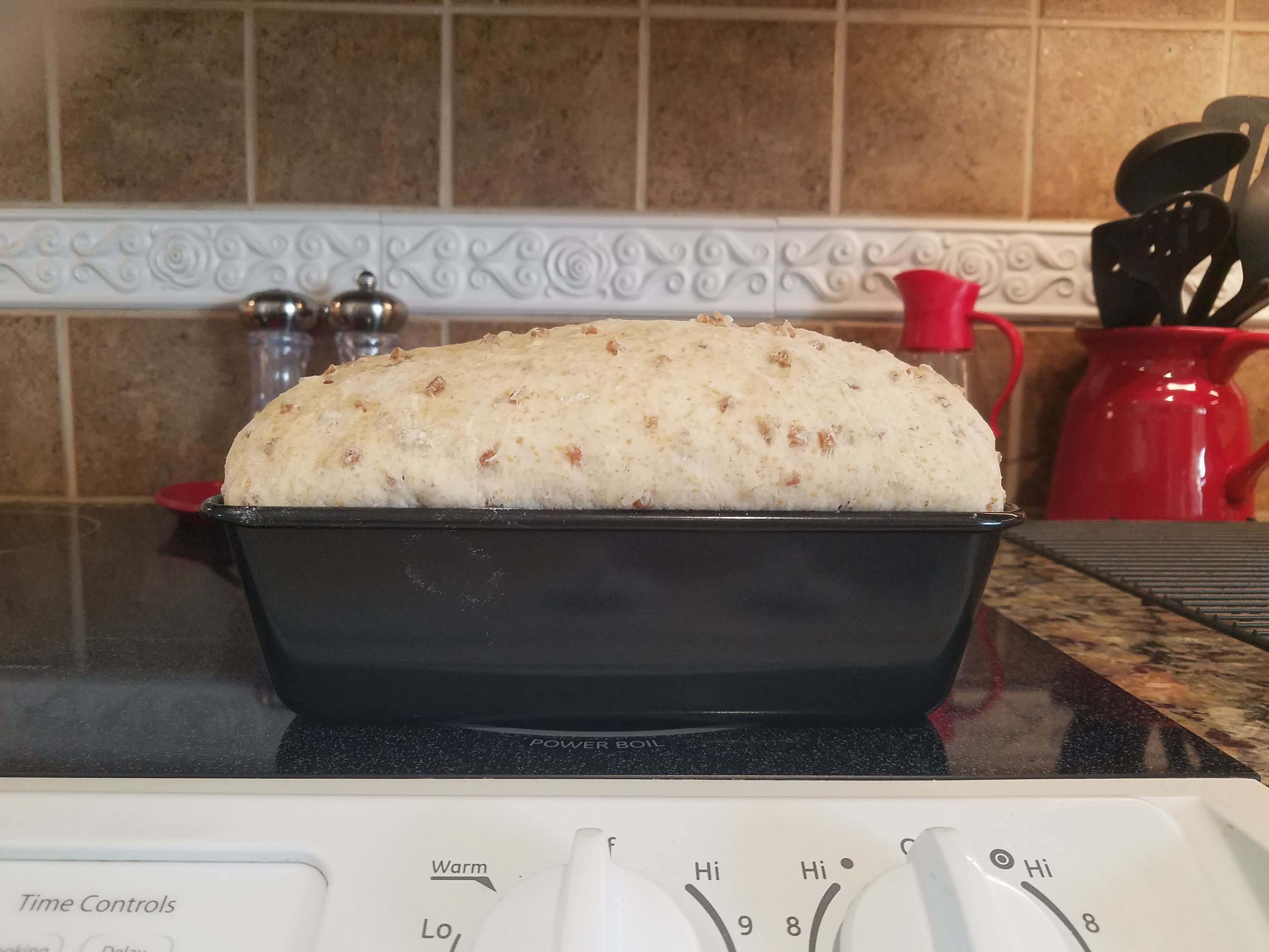 Honey Wheat Berry Bread Recipe - Food.com