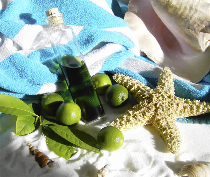 Pure Key Lime Extract Recipe - Food.com