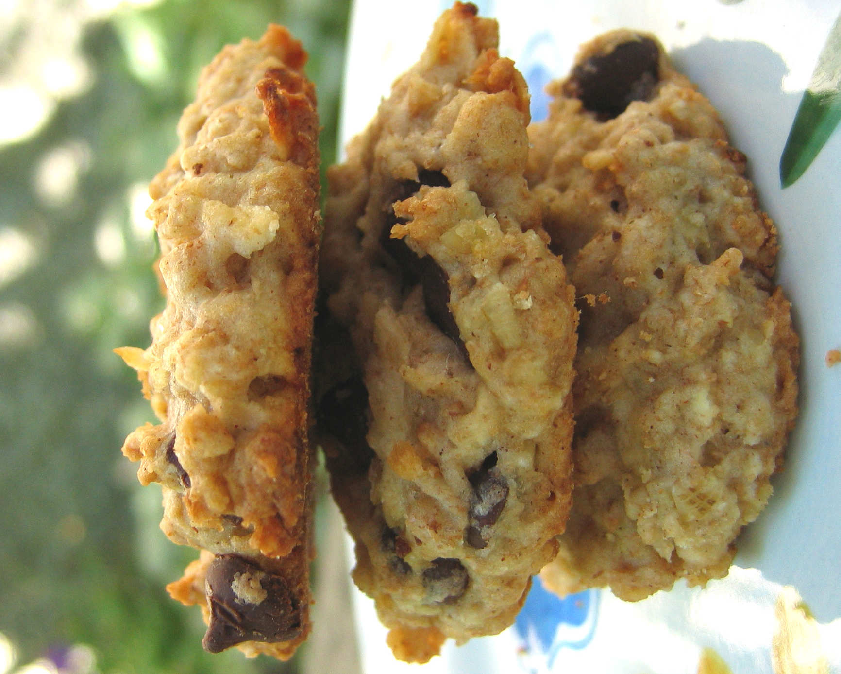 Chocolate Chip Apple Cookies Recipe - Food.com